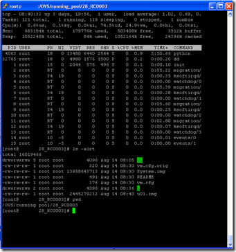 Oracle Apps Blog: Oracle VM: Adding a disk to a Guest OS